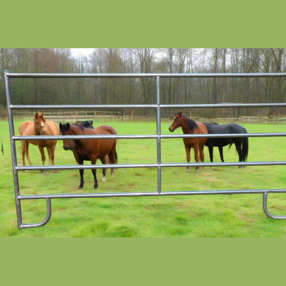 BORDER PANEL 10' GALVANIZED – Bridle Path Tack Shop