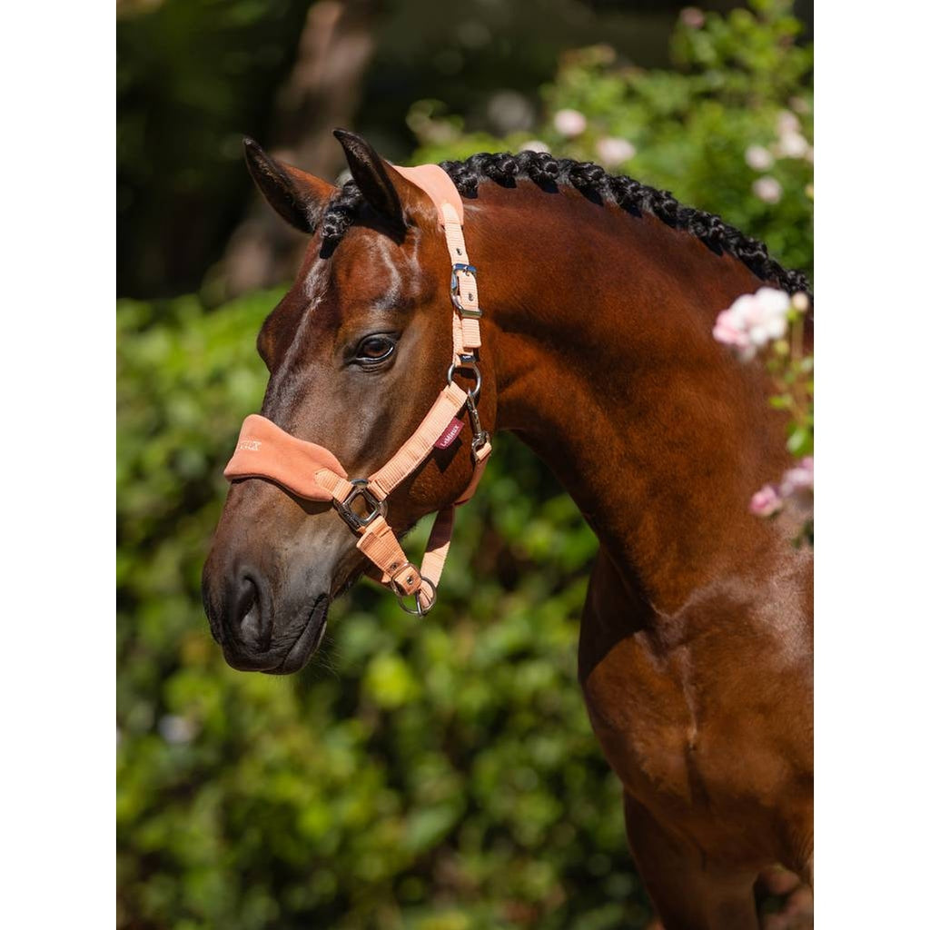 LEMIEUX VOGUE HALTER & ROPE SET - SPRING 2024 – Bridle Path Tack Shop