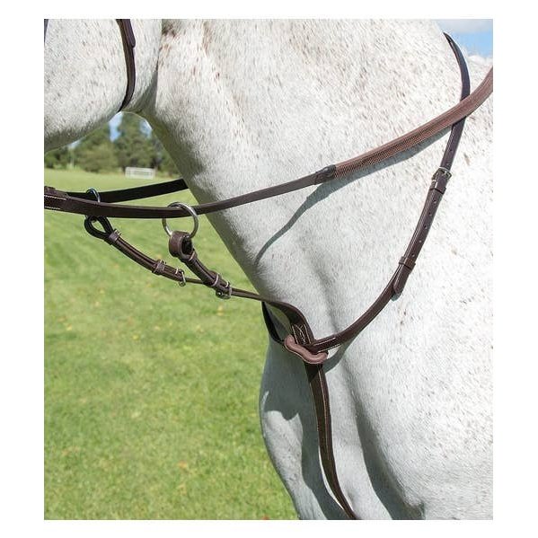 AVIGNON RUNNING MARTINGALE - FULL HAVANNA – Bridle Path Tack Shop
