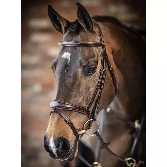 LEMIEUX COMPETITION FLASH BRIDLE - HAVANA FULL – Bridle Path Tack Shop