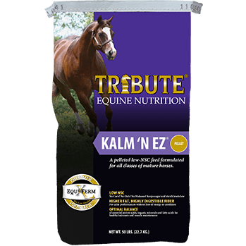 Tribute Kalm 'N EZ (Purple) – Bridle Path Tack Shop