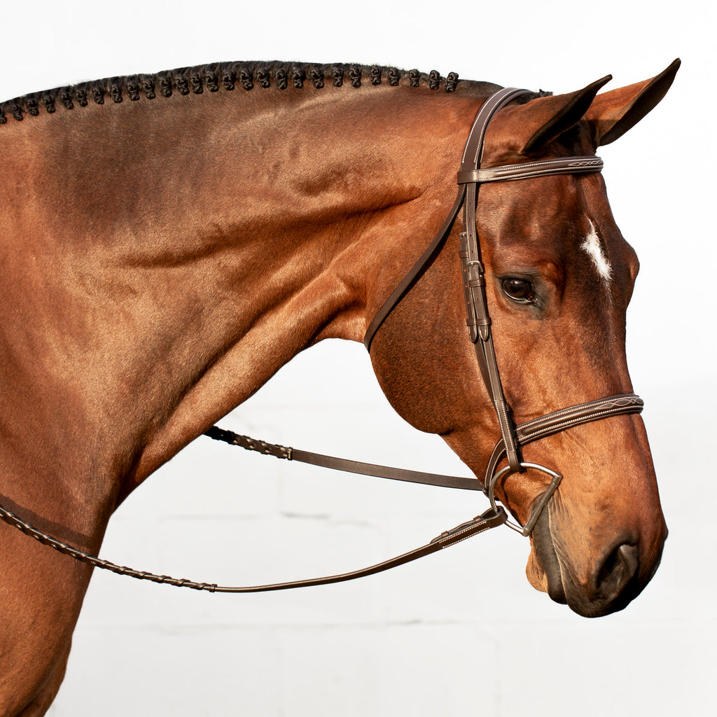 EQUINAVIA SAGA FANCY STITCHED HUNTER BRIDLE - CHOCOLATE – Bridle Path ...