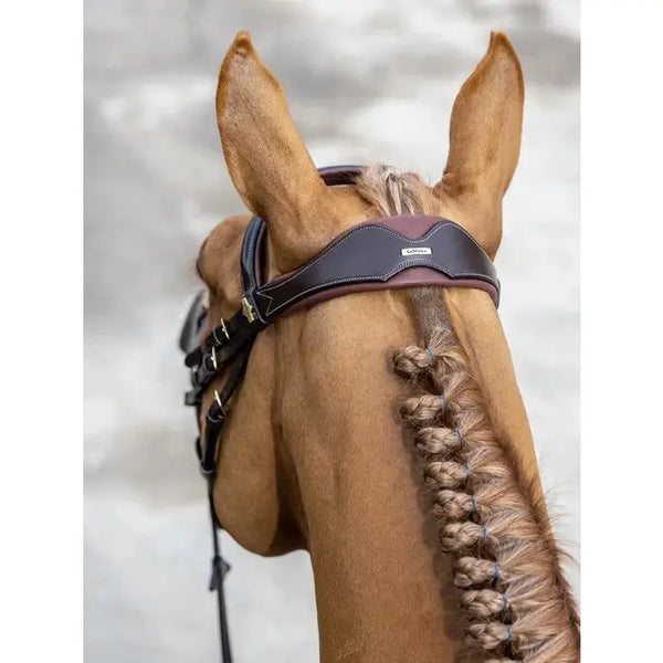 LEMIEUX COMPETITION FLASH BRIDLE - HAVANA – Bridle Path Tack Shop