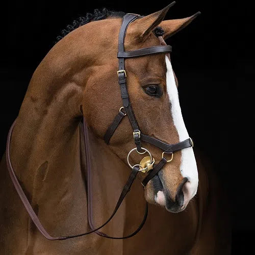 RAMBO MICKLEM MULTI WITH REINS – Bridle Path Tack Shop
