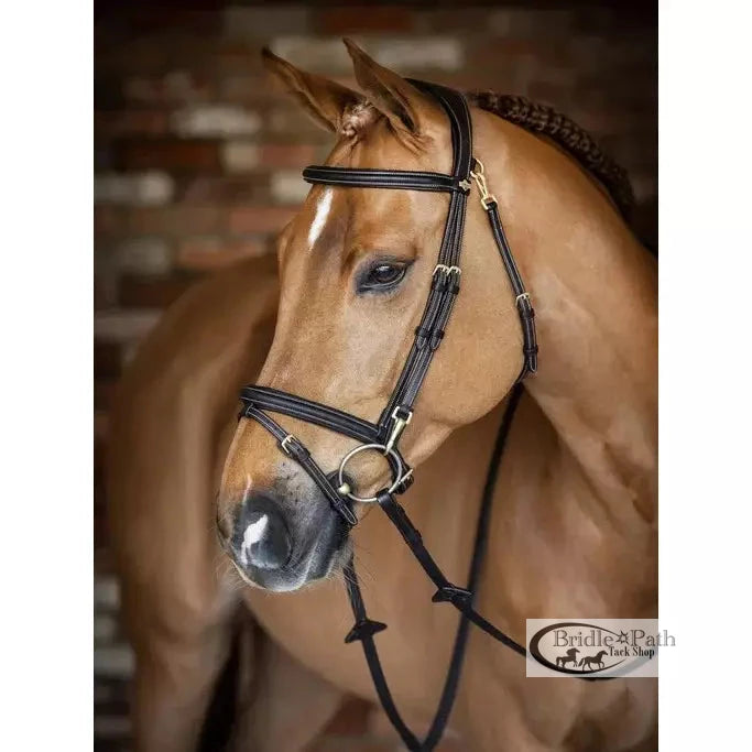 LEMIEUX WORK BRIDLE - BROWN FULL – Bridle Path Tack Shop