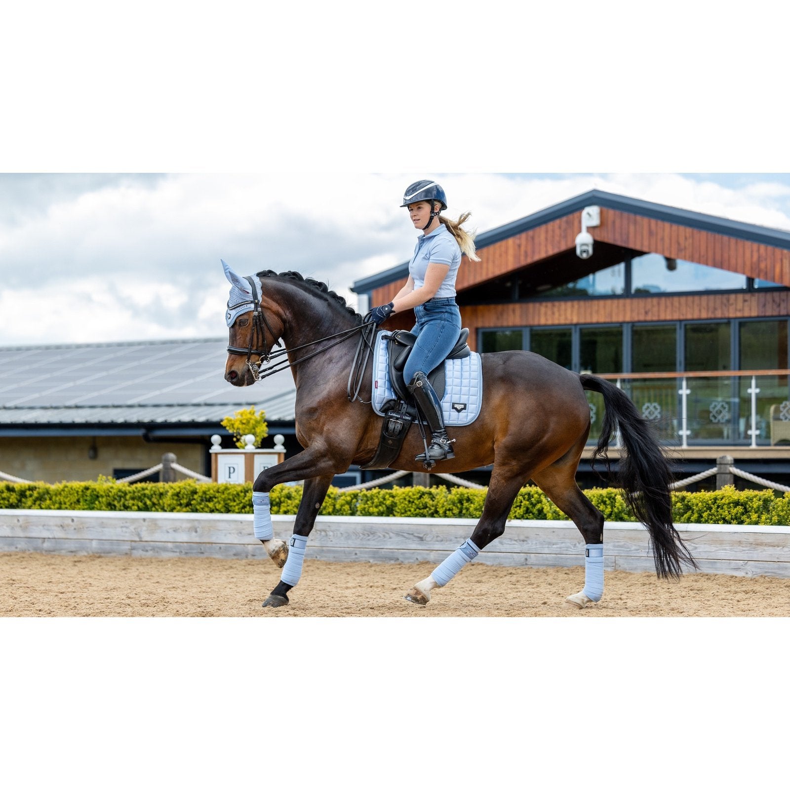 LEMIEUX LOIRE SATIN DRESSAGE PAD - SPRING 2023 – Bridle Path Tack Shop