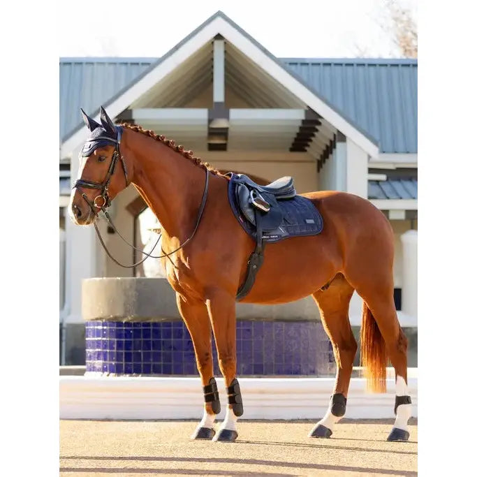 LEMIEUX RHONE EUROJUMP SQUARE SADLE PAD – Bridle Path Tack Shop